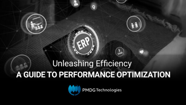 ERP Performance Optimization | PMDG Technologies