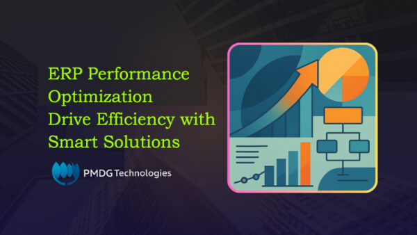 ERP Performance Optimization | PMDG Technologies